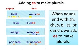 Singular plural nouns | PPT