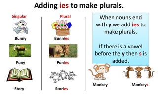 Singular plural nouns | PPT