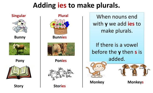 Singular plural nouns | PPT