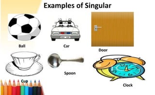 Singular plural nouns | PPT