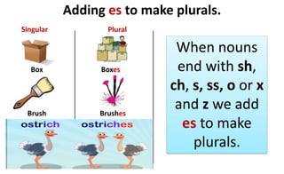 Singular plural nouns | PPT