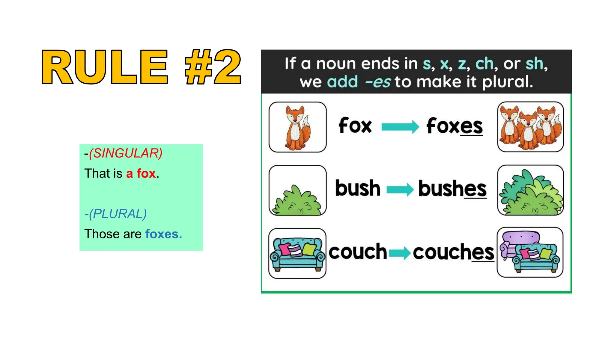 SINGULAR & PLURAL NOUNS - EFL CLASS.pptx