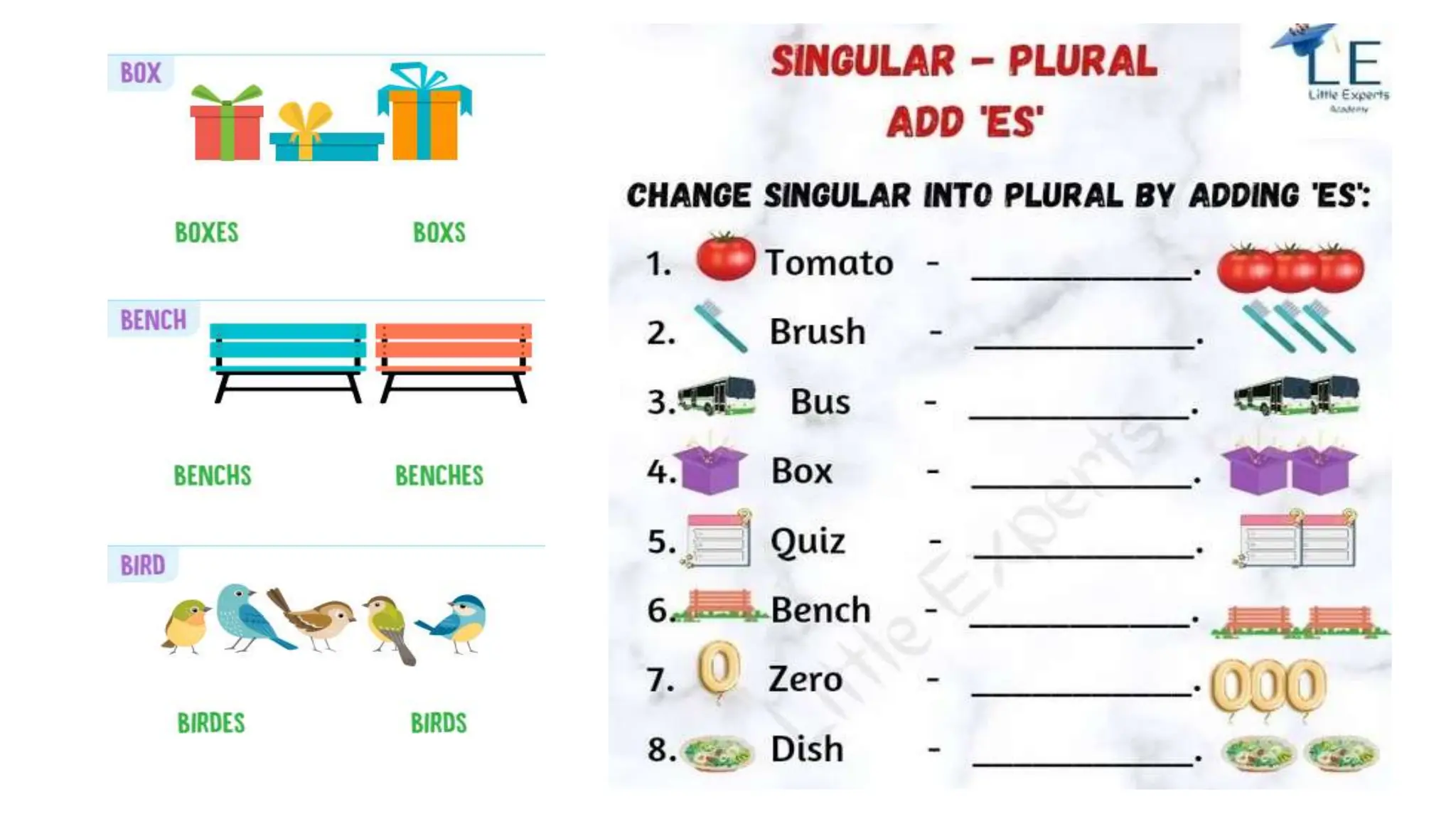 SINGULAR & PLURAL NOUNS - EFL CLASS.pptx
