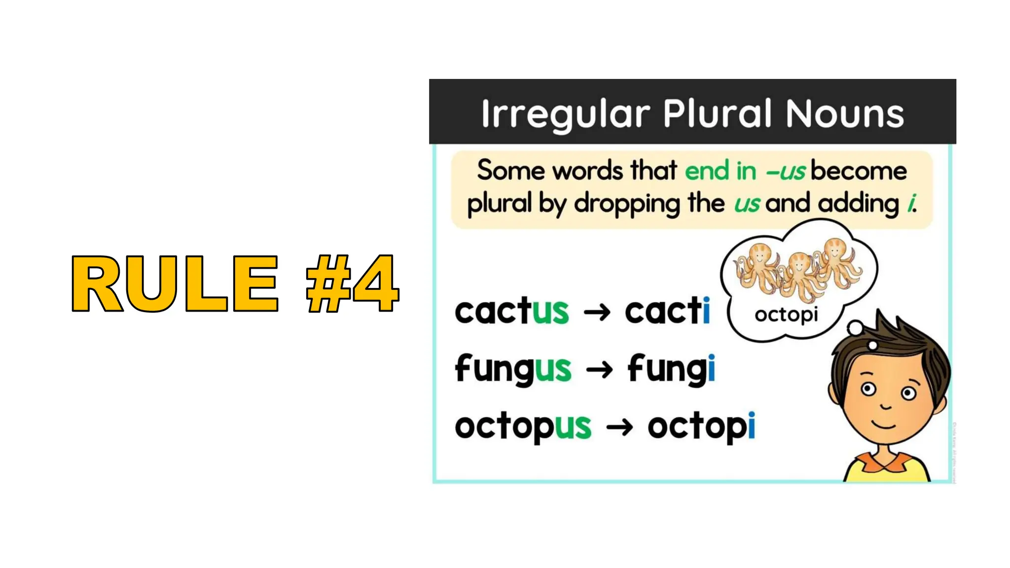 SINGULAR & PLURAL NOUNS - EFL CLASS.pptx