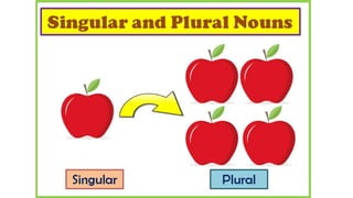 SINGULAR & PLURAL NOUNS - EFL CLASS.pptx