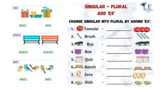 SINGULAR & PLURAL NOUNS - EFL CLASS.pptx