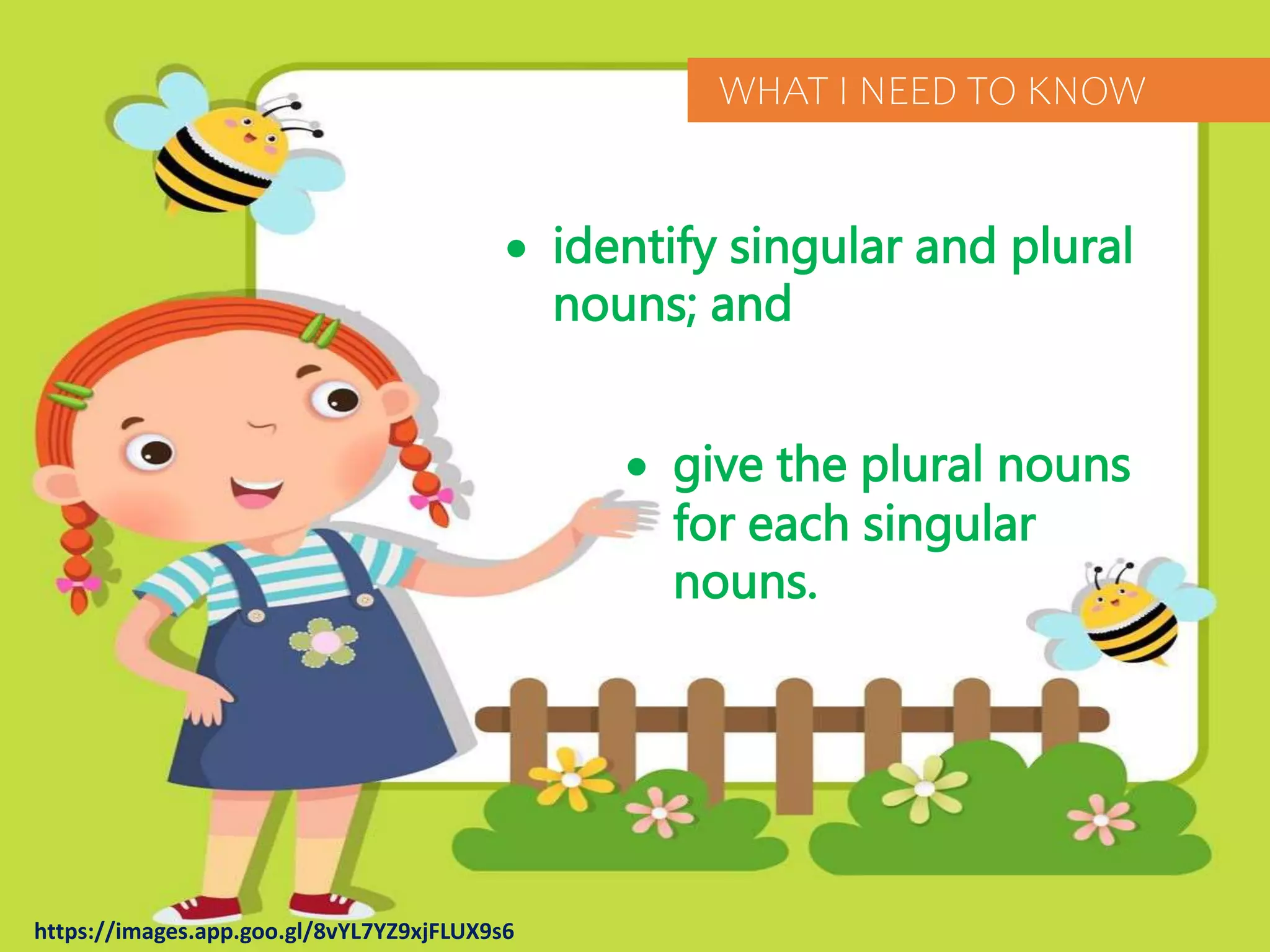 SINGULAR & PLURAL NOUNS _ Grade 2.pptx