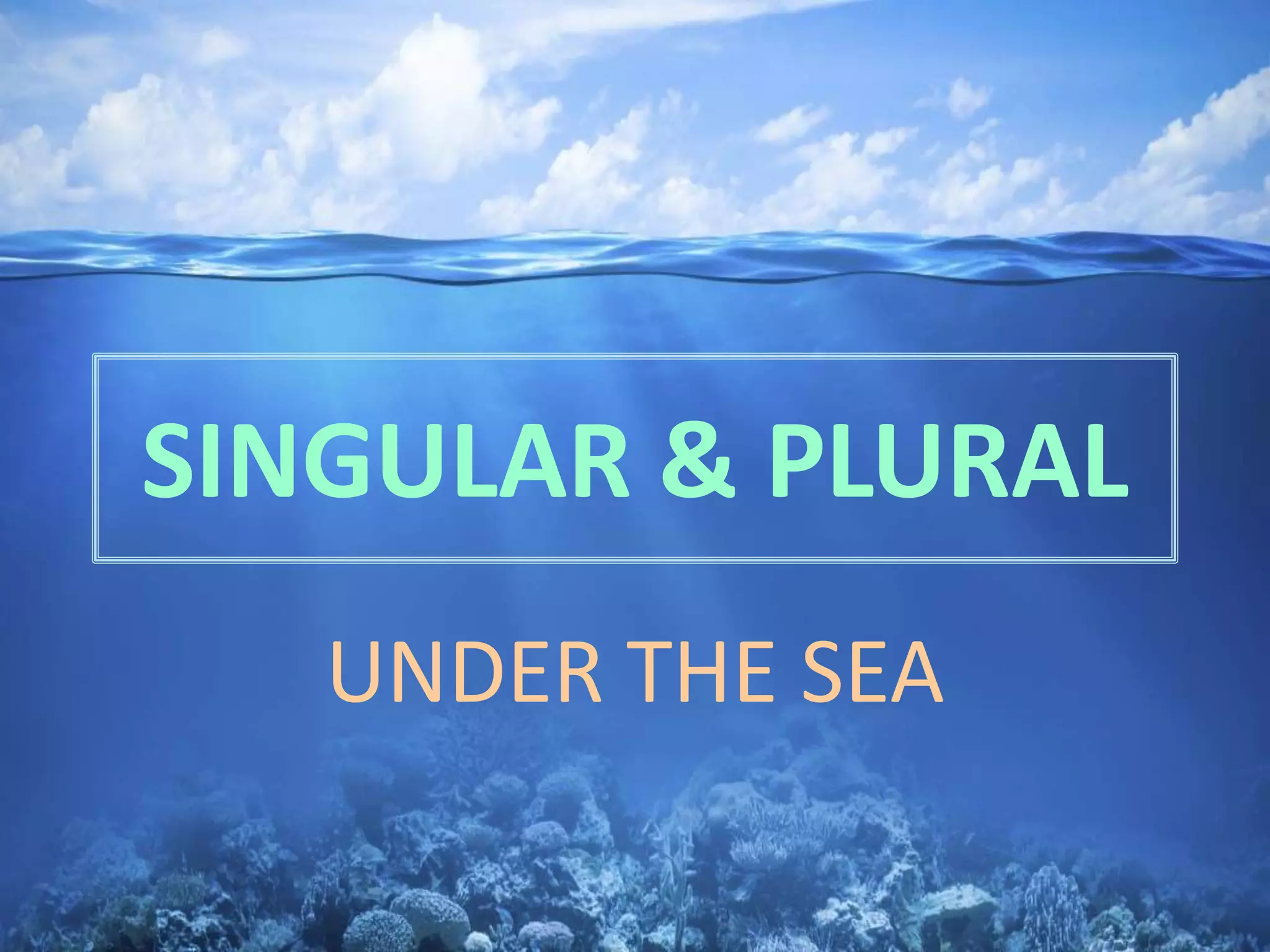 Singular plural sea | PPTX