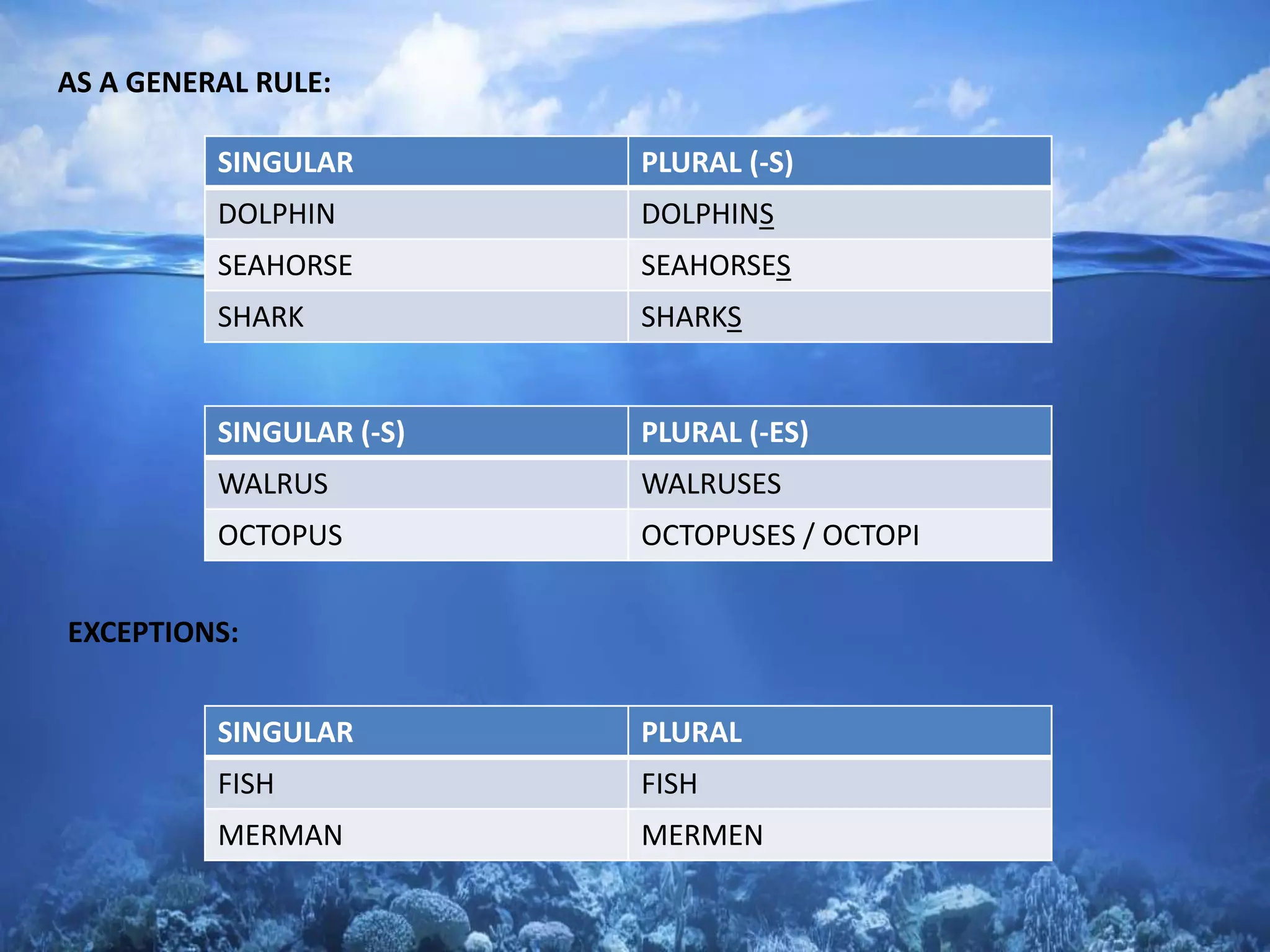 Singular plural sea | PPTX