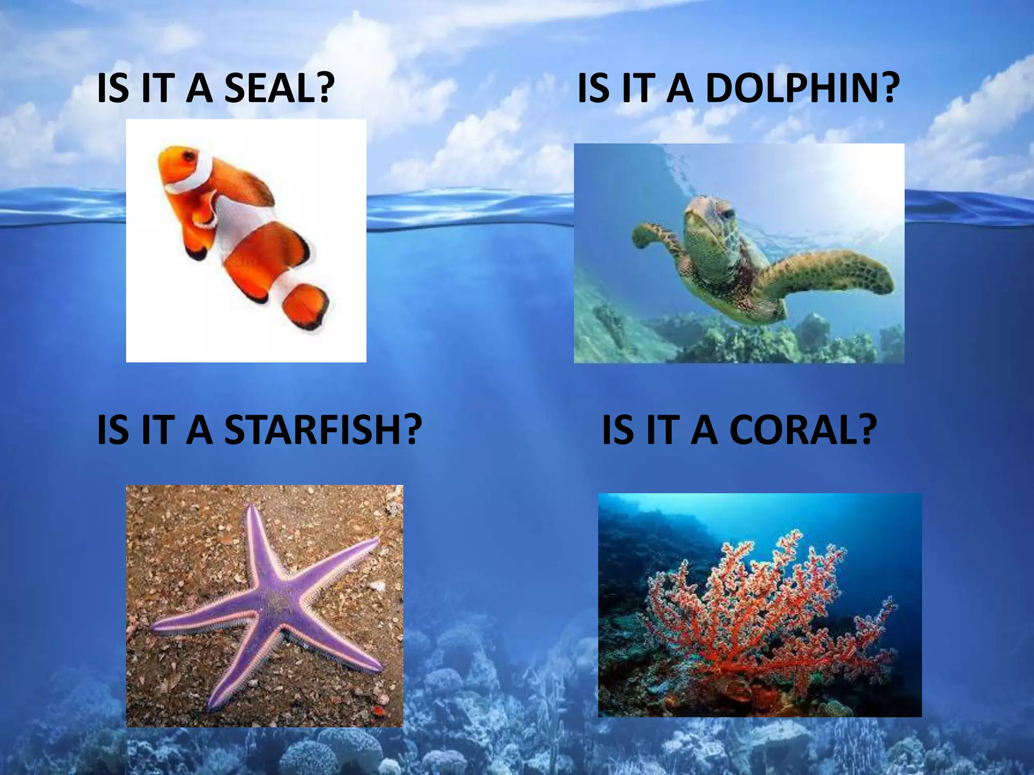 Singular plural sea | PPTX