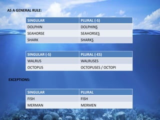 Singular plural sea | PPT