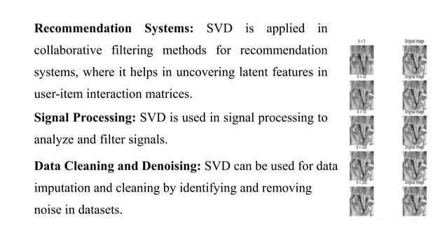 Singular Value Decomposition (SVD).pptx