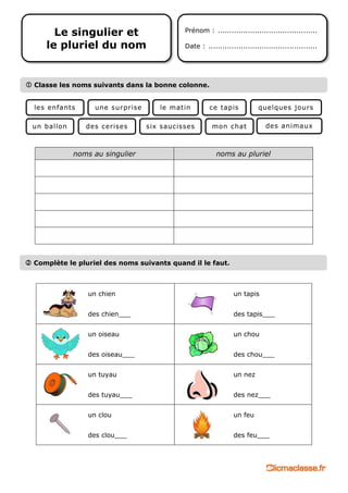 Singulier pluriel | PDF