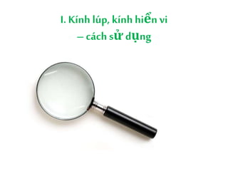 Sinh 6 bai 5 kinh lup kinh hien vi | PPT