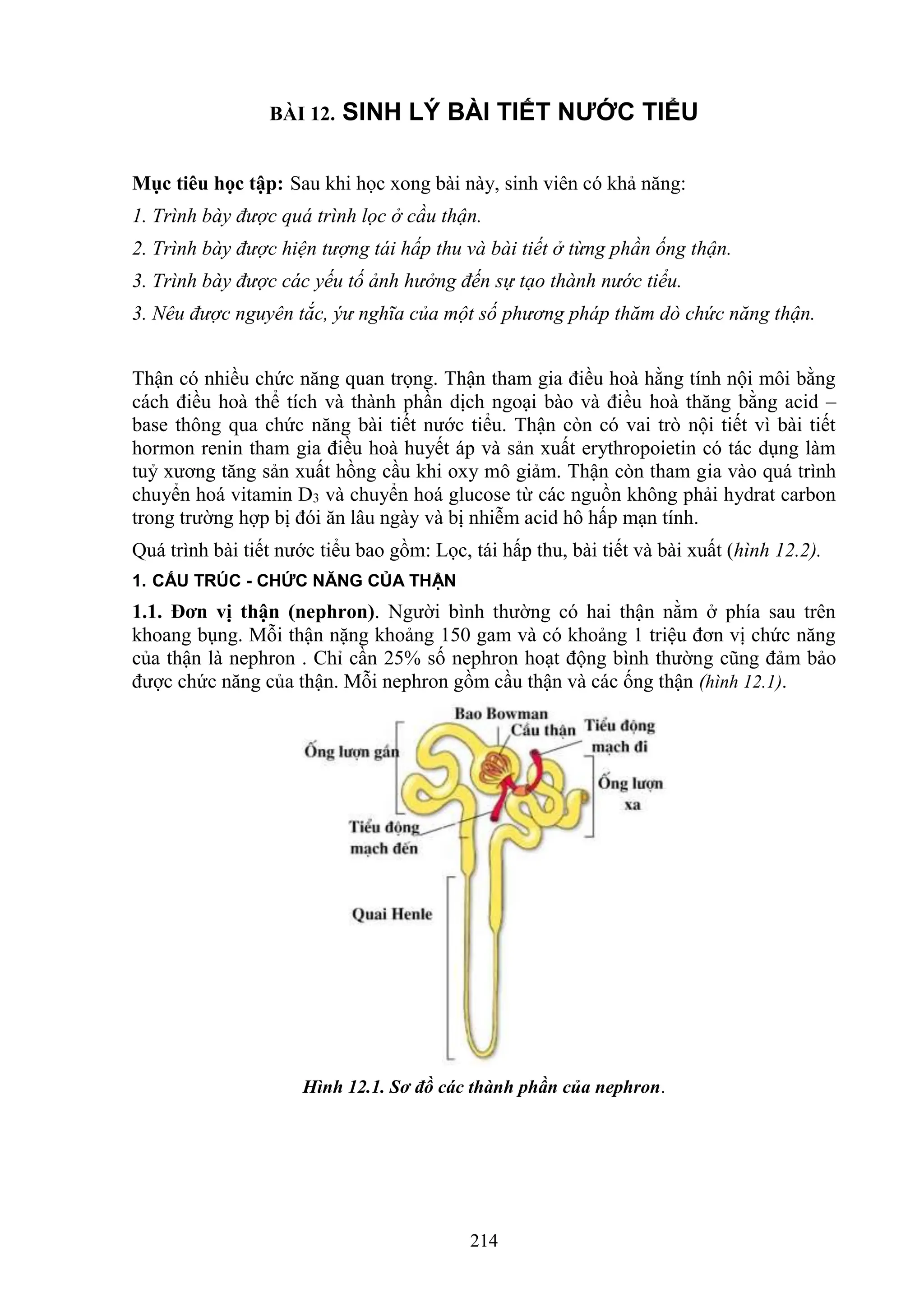 SINH LÝ THẬN BÀI TIẾT NƯỚC TIỂU YHN .doc