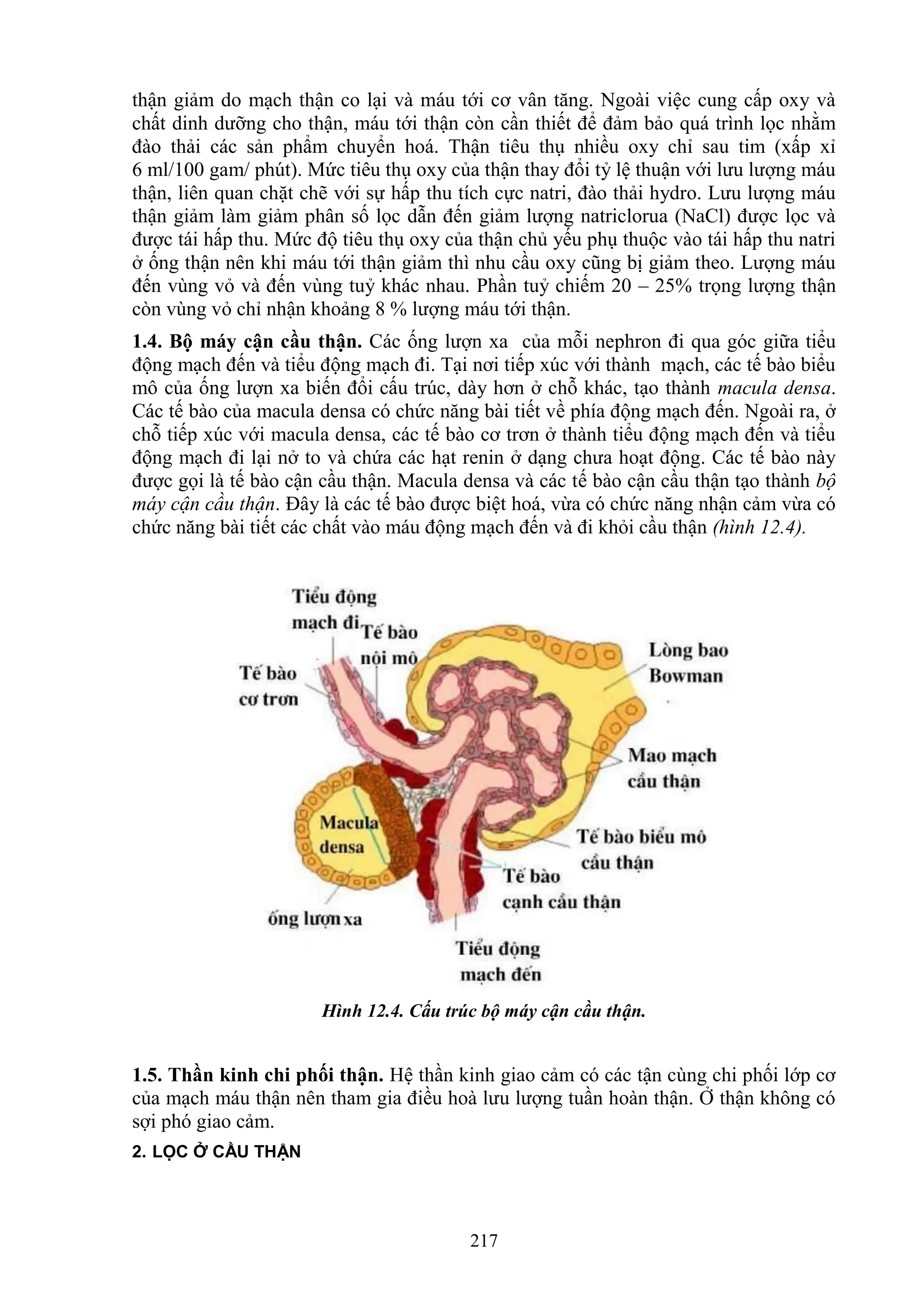 SINH LÝ THẬN BÀI TIẾT NƯỚC TIỂU YHN .doc