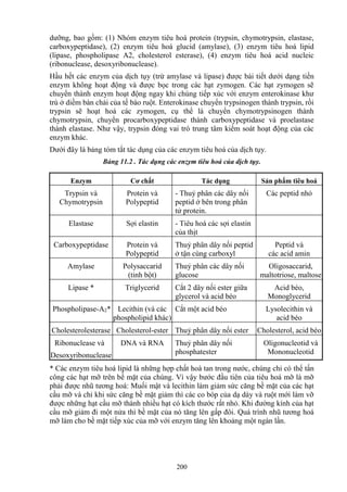 SINH LÝ BỘ MÁY TIÊU HOÁ Hay.doc