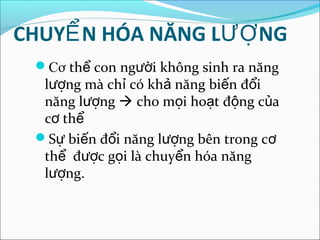 Sinh lý chuyen hoa nang luong | PPT
