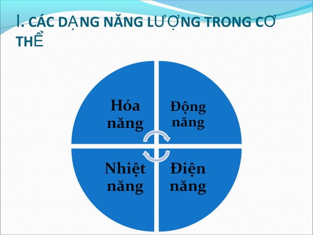 Sinh lý chuyen hoa nang luong | PPT
