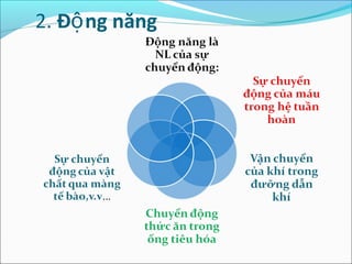 Sinh lý chuyen hoa nang luong | PPT