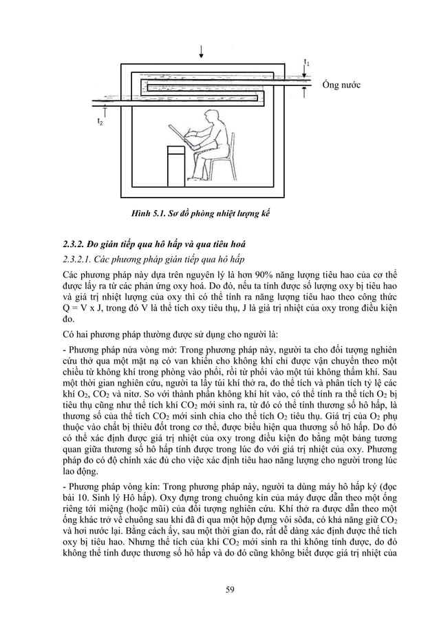SINH LÝ CHUYỂN HOÁ CHẤT, NĂNG LƯỢNG.doc HAY | DOC