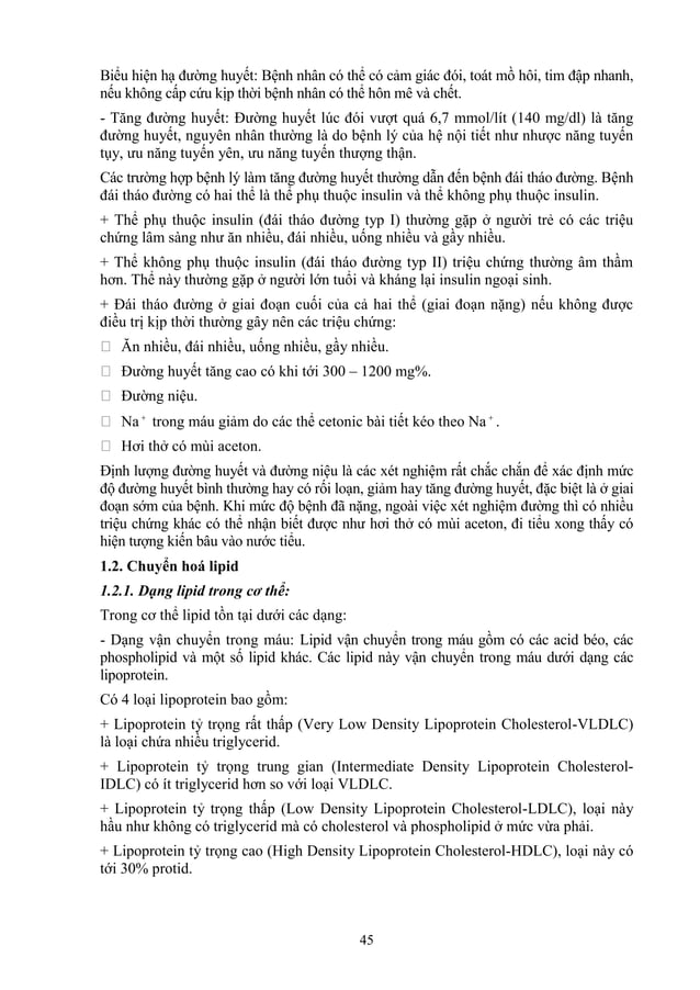 SINH LÝ CHUYỂN HOÁ CHẤT, NĂNG LƯỢNG.doc HAY | DOC