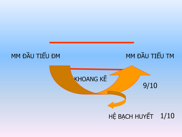 Sinh lý dịch cơ thể | PPT