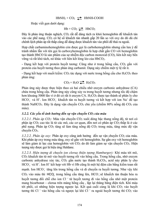 SINH LÝ HÔ HẤP.doc rất cần thiết cho các bạn | DOC