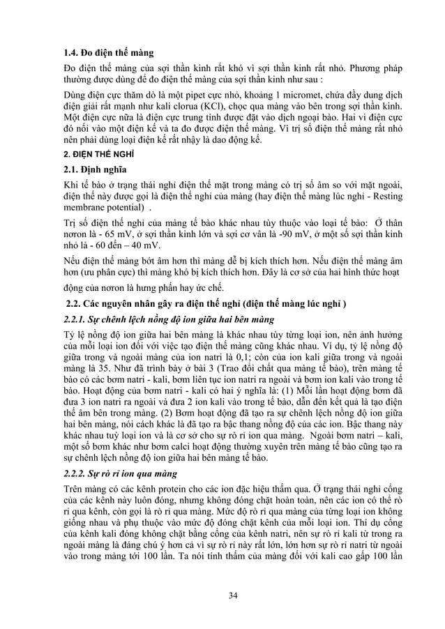 SINH LÝ ĐIỆN THẾ MÀNG VÀ ĐIỆN THẾ HOẠT ĐỘNG.doc