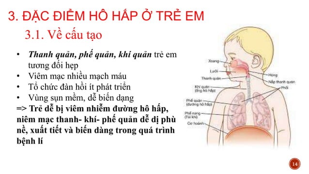 Sinh li tre emHe ho hap.pptx