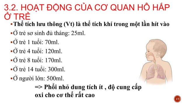 Sinh li tre emHe ho hap.pptx