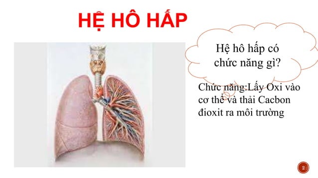 Sinh li tre emHe ho hap.pptx