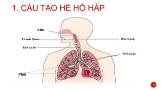 Sinh li tre emHe ho hap.pptx