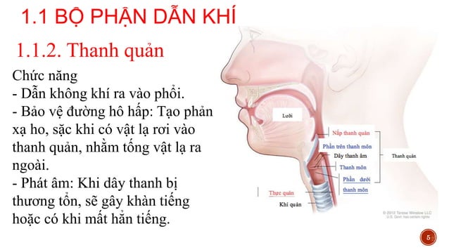 Sinh li tre emHe ho hap.pptx