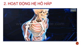 Sinh li tre emHe ho hap.pptx