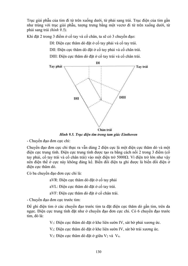 SGK SINH LÝ TUẦN HOÀN.doc hay nha các bạn | DOC