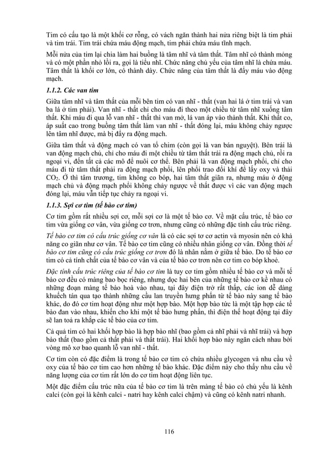 SGK SINH LÝ TUẦN HOÀN.doc hay nha các bạn | DOC