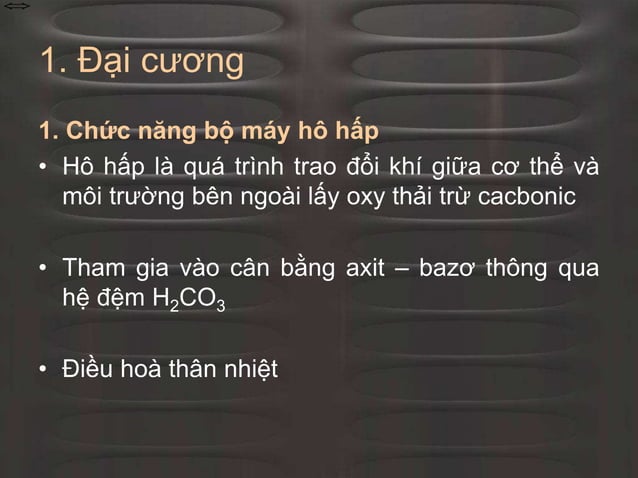 HVQY | Sinh lý bệnh | Hô hấp | PPT