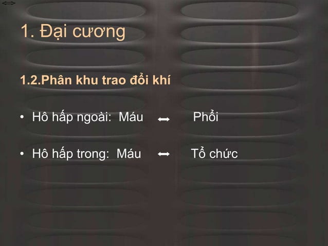 HVQY | Sinh lý bệnh | Hô hấp | PPT