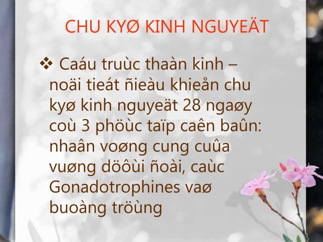 SINH LY CHU KY KINH NGUYET.ppt
