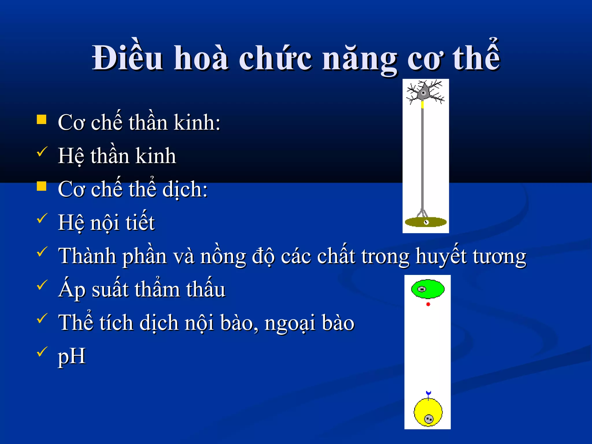 Sinh ly he noi tiet | PPT