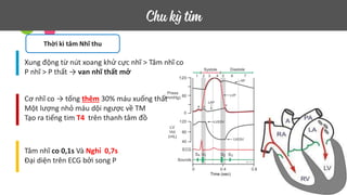 Sinh Lý Tim Mạch Slide - Điện Thế Nghỉ - Điện Thế Hoạt Động Tim | PPTX