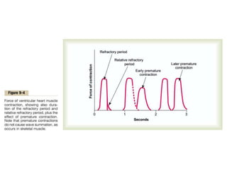 Sinh ly Tuan Hoan 1. hhhhhhhhhhhhhhhhhhhhh | PPT | Free Download