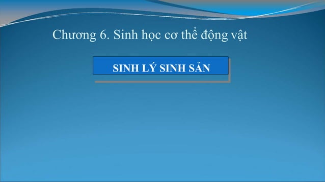 Sinh Sản - Sinh học cơ thể động vật (Sinh Học Đại Cương) | PPTX