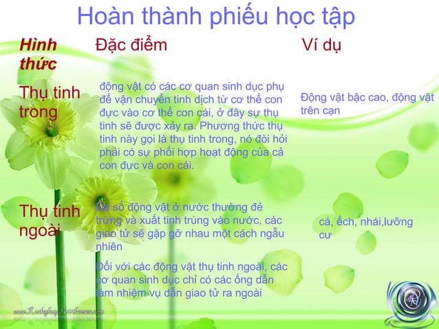Sinh san huu tinh o dong vat | PPT