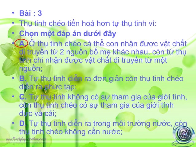 Sinh san huu tinh o dong vat | PPT