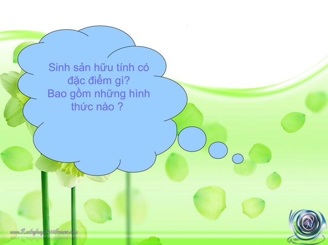 Sinh san huu tinh o dong vat | PPT