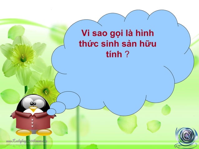 Sinh san huu tinh o dong vat | PPT