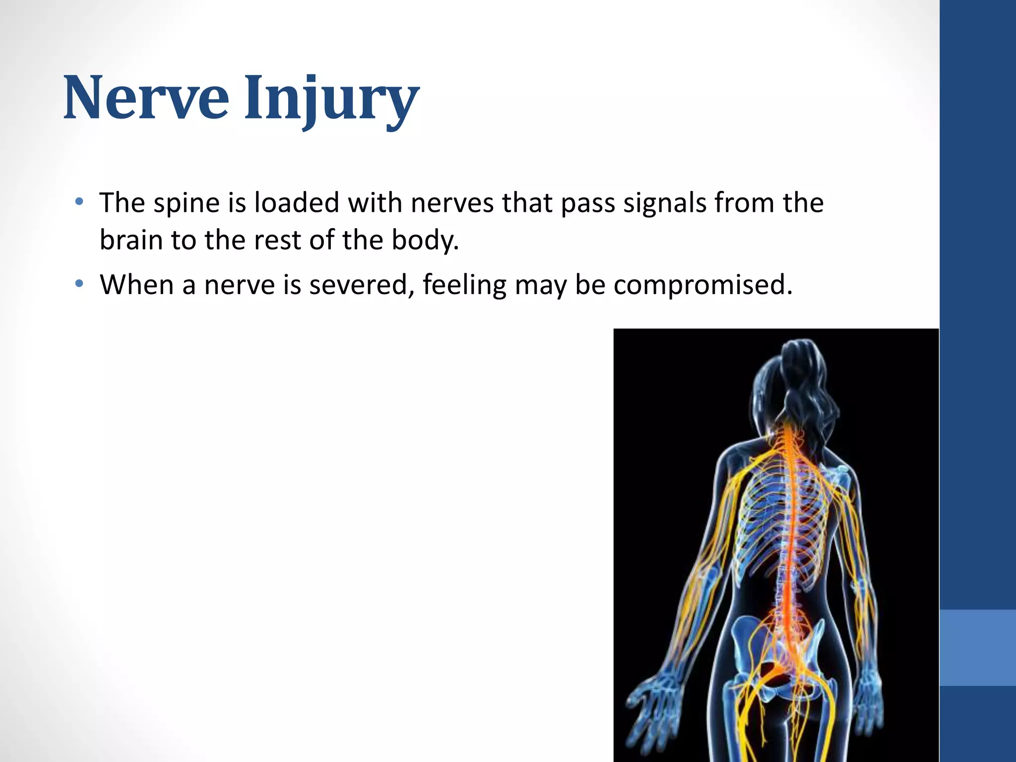 4 Spine Surgery Complications | PPTX
