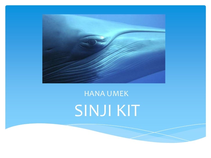 Sinji kit